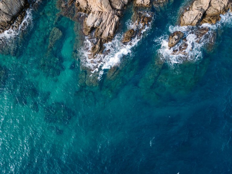 Barcelona Destination Wedding at Marimurtra Botanical Garden